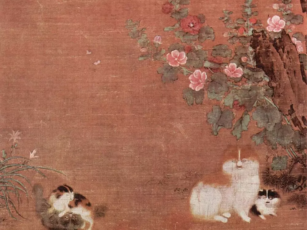 แมวบ้านสนุกกับชีวิตในหมู่บ้านในจีนเมื่อ 5,300 ปีที่แล้ว