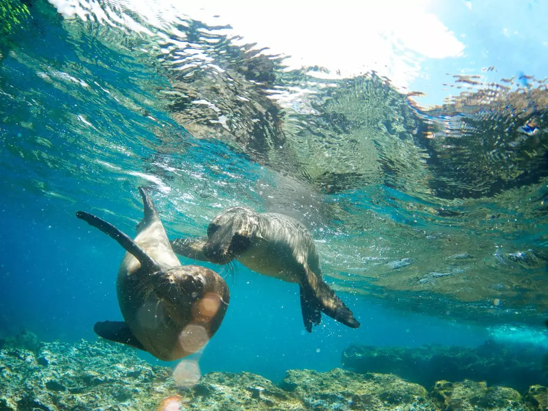 10 de los mejores destinos de snorkel del mundo 6688_37