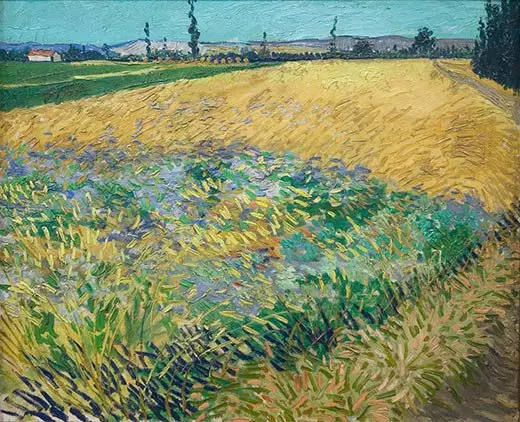 Il-Mara Li Waslet lil Van Gogh fid-Dinja 6696_5