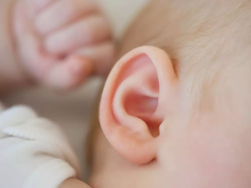 Hear This, 2017: Scientists Are Creating New Ears With 3D-Printing and Human Stem Cells 