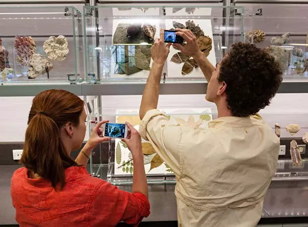 Los especímenes del museo se pueden digitalizar y guardar para proyectos futuros en guías de campo digitales para estudiantes.