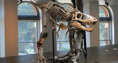 Türannosaurus