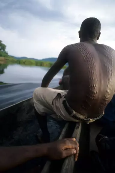 Paapua Uus-Guinea kaningara krokodillilõikus