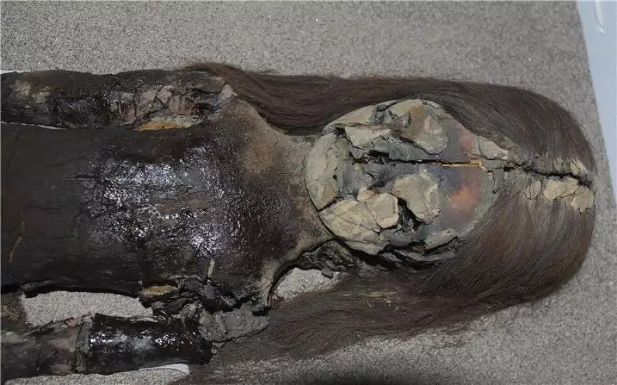Што ги чувале најстарите мумии во светот?