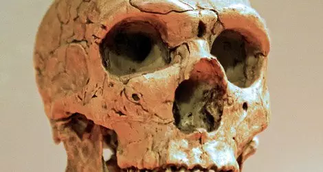 An raibh Neanderthal Íospartaigh a Rath Féin?