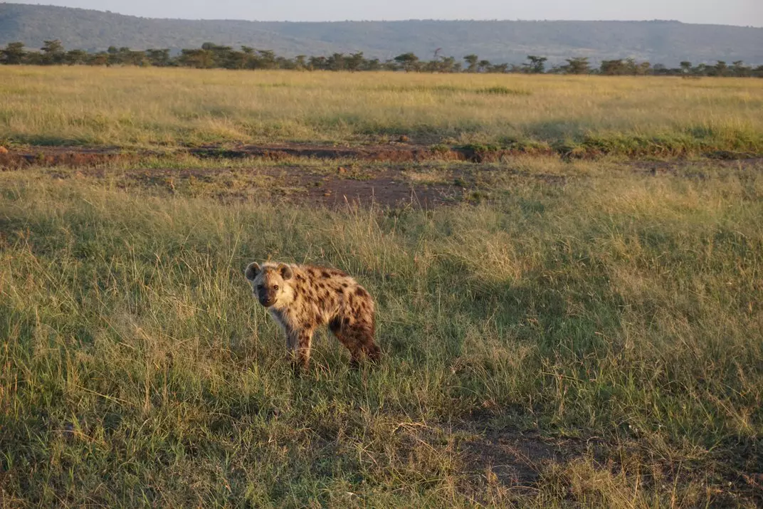 ພົບກັບຫນຶ່ງໃນຄູ່ມື Safari ເພດຍິງຈໍານວນຫນ້ອຍໃນ Kenya 6982_9