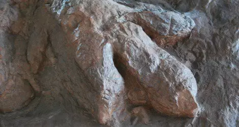 Paleontoloë spoor dinosourusse naby Las Vegas op