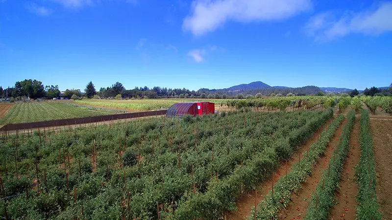 Startup San Francisco Menempatkan Semua yang Anda Butuhkan untuk Ladang seluas Dua Acre dalam Kontainer Pengiriman