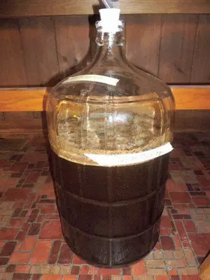 La cervesa en les primeres etapes de fermentació