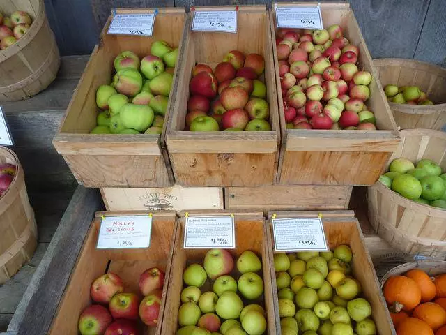 Boj za reševanje na tisoče jablan iz dediščine