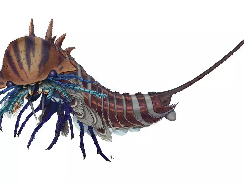 Ang Mabangis na 508-Million-Year-Old na Kamag-anak ng Scorpions ay May Limang Panga at Body Armor