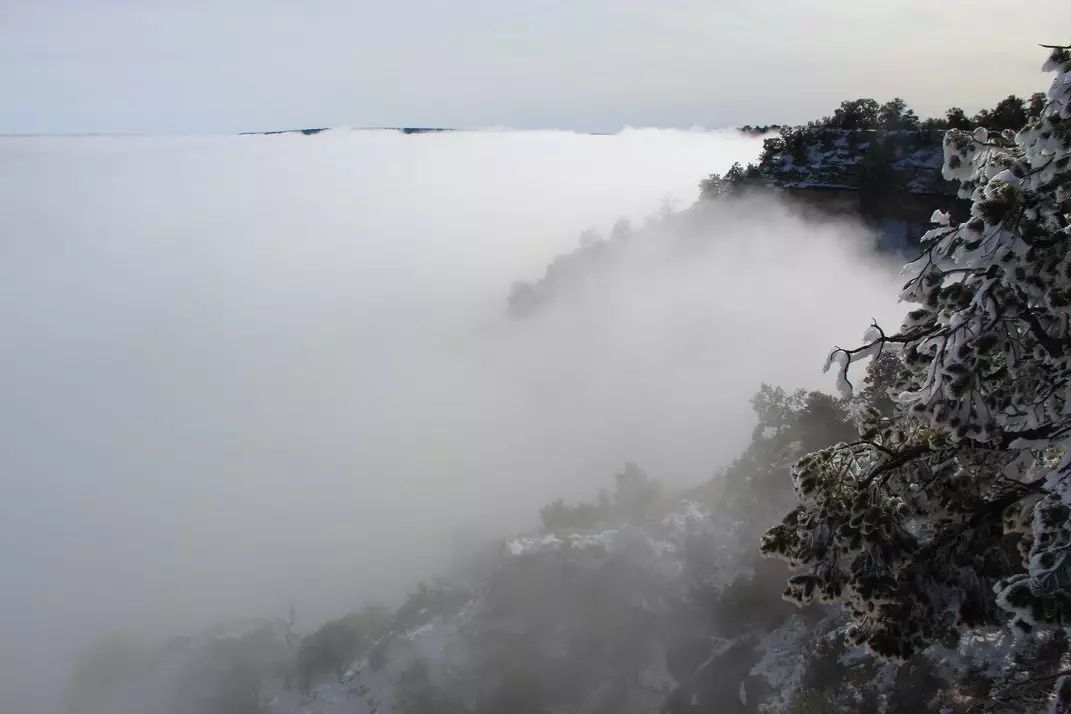 Rijedak izgled: Spektakularne fotografije Snimite Veliki kanjon ispunjen maglom 7505_7