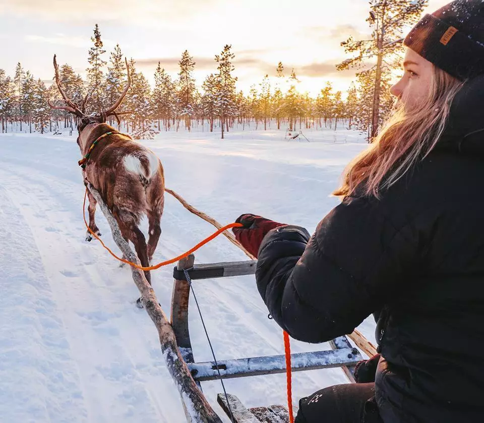 I-Reindeer Lodge