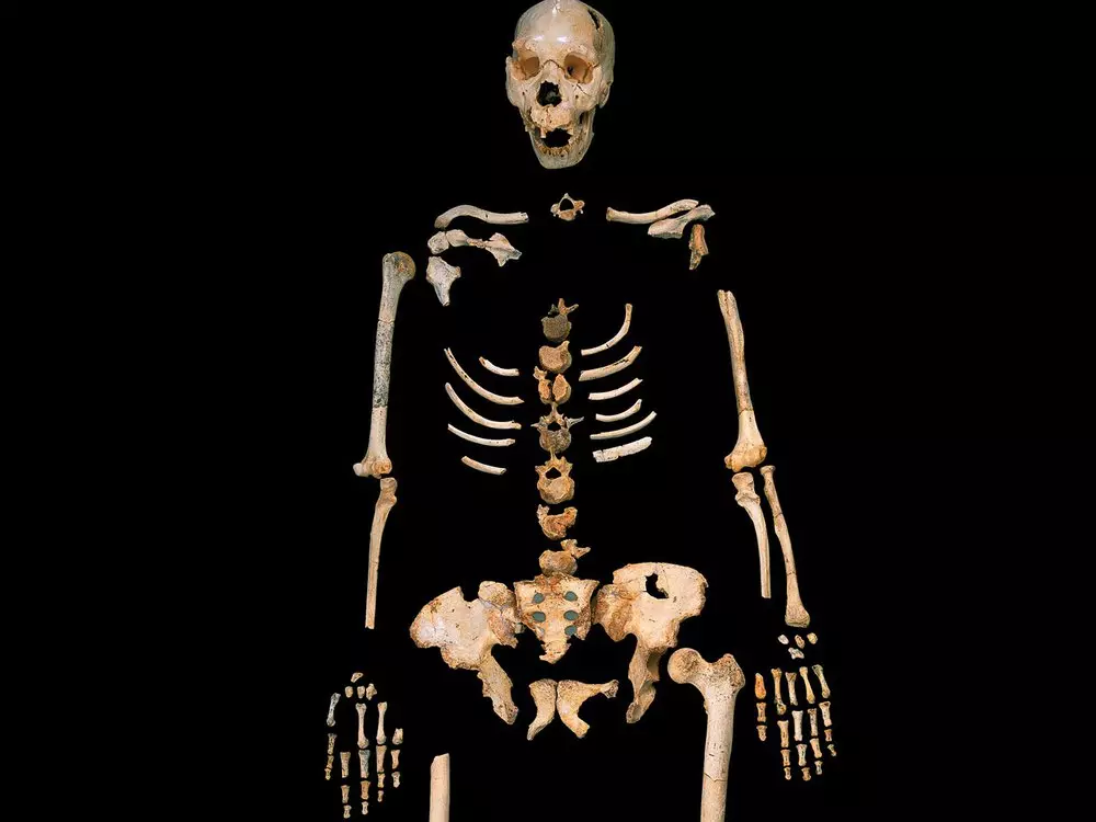 科学者たちは40万歳の初期の人間からDNAを配列決定した