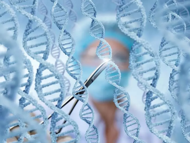 CRISPR-i geenide redigeerimine