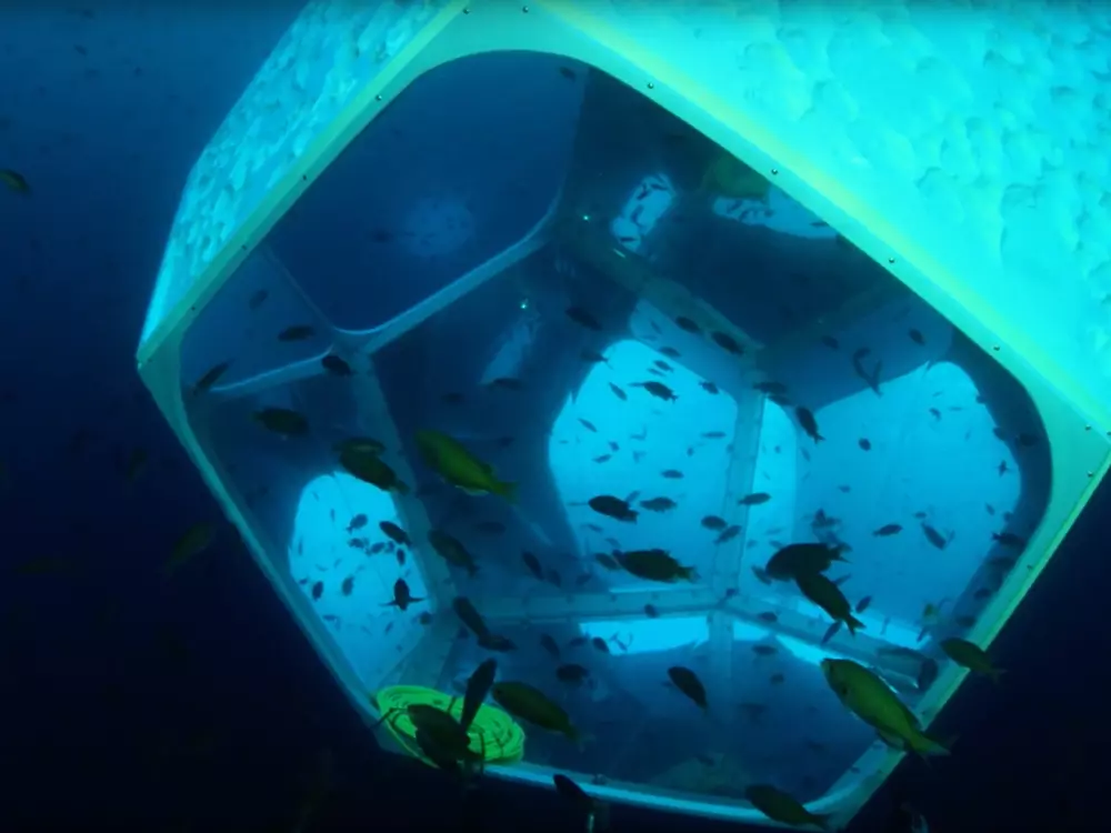 想看装置艺术家 Doug Aitken 的最新作品吗？带上你的潜水装备