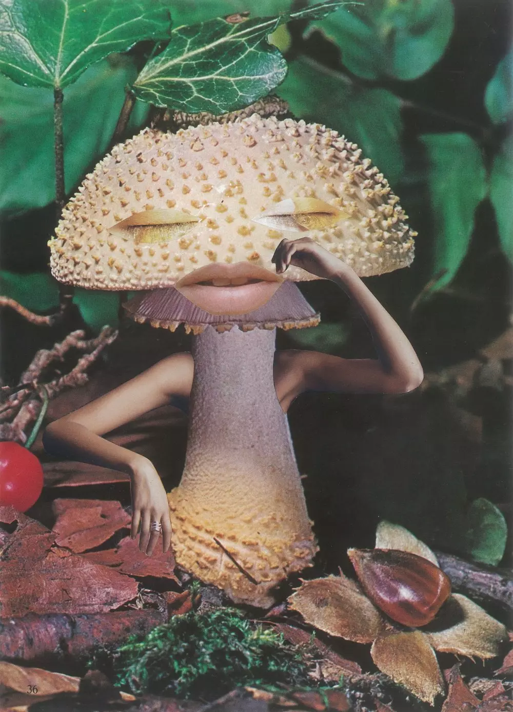 Попробуй грибное искусство на этой новой выставке Fungus-Forward
