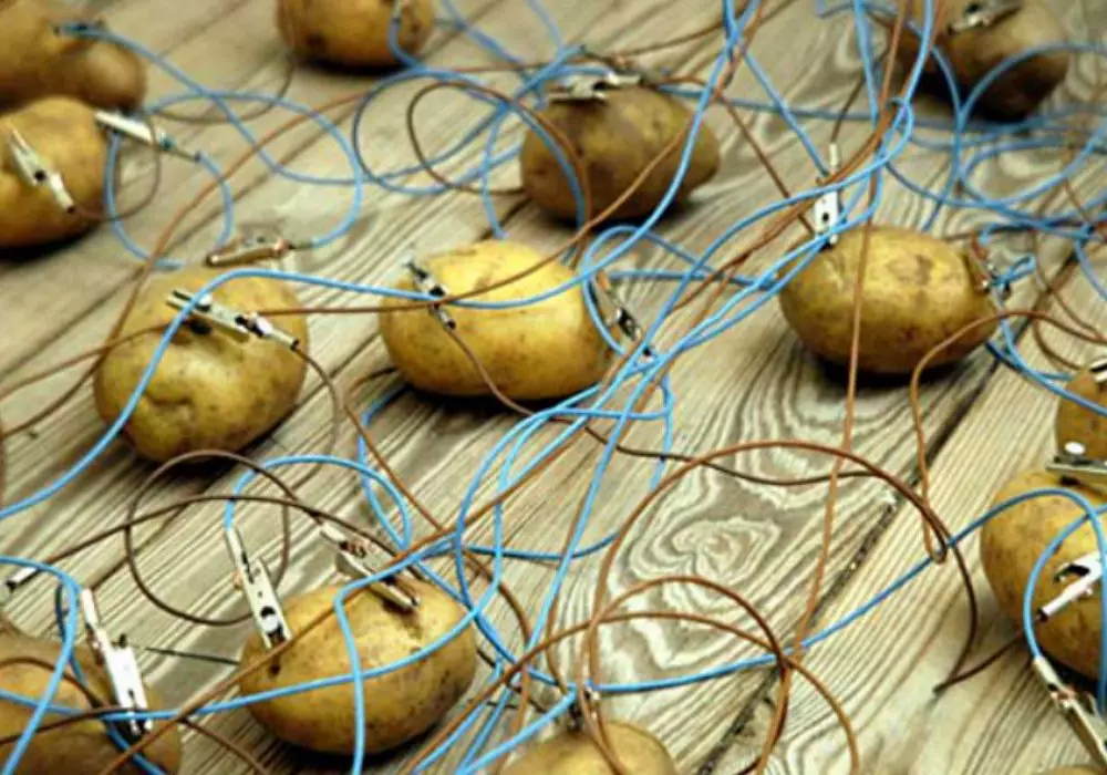 A Potato Battery Can Light Up a Room For Over a Month