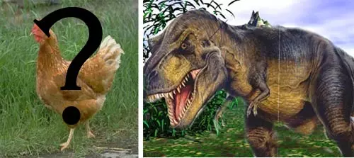T. rex ပရိုတင်းက ဘက်တီးရီးယား Goop သက်သက်လား။