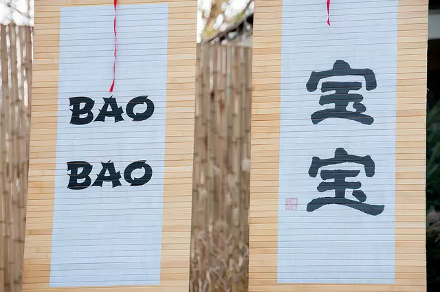 Panda Cub får et navn. Bao Bao 8004_2