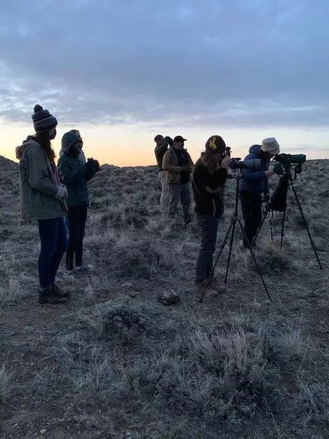 'n Groep jongmense staan in die Wyoming-landskap en neem foto's van saliehoenders