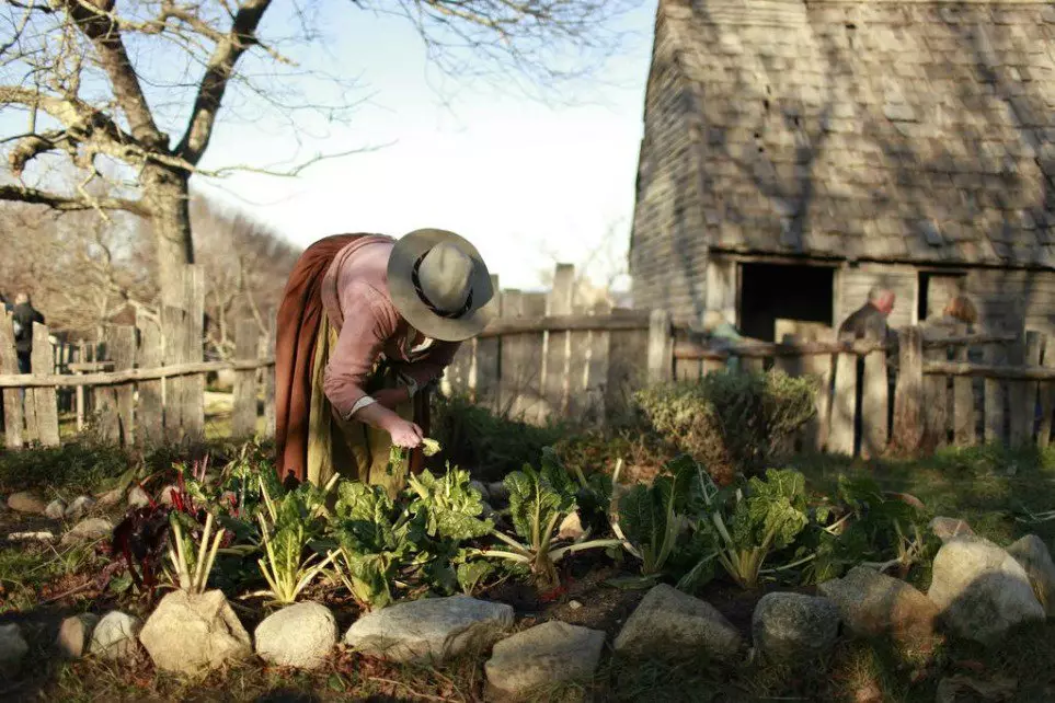 This Thanksgiving, Step Back in Time and into 17th-Century Plymouth Colony 8029_10