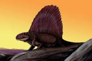 The Dimetrodon dina Tangkal kulawarga anjeun