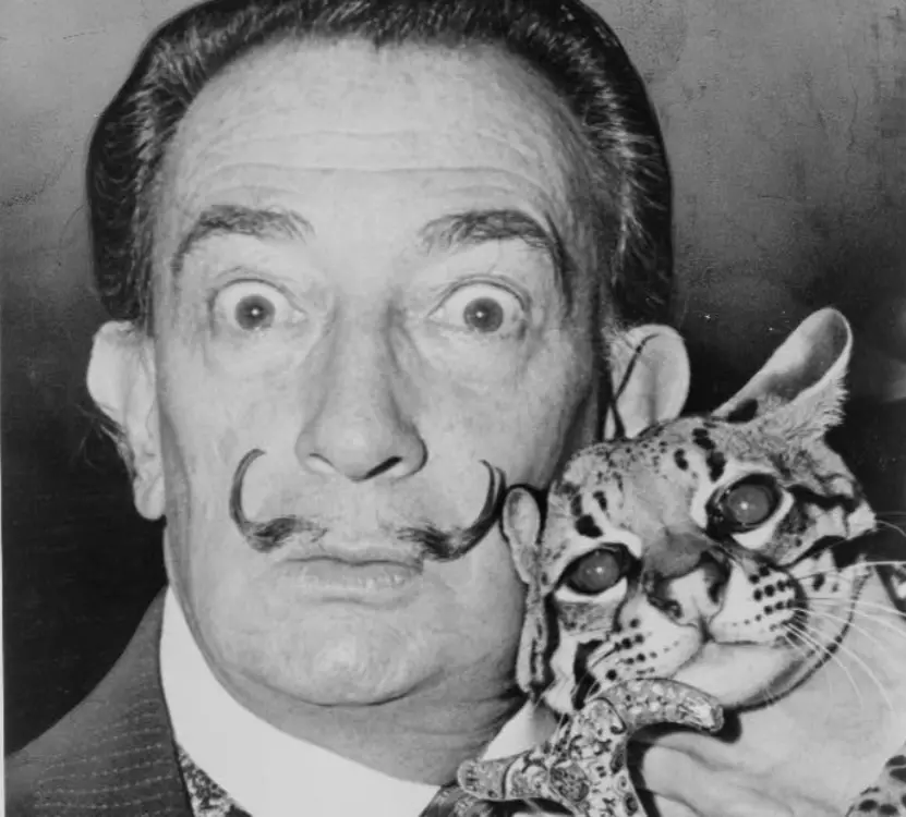 Dykk gjennom mer enn 1000 Dalí-malerier på nettet