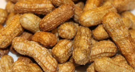 Miks maapähklivõi on ideaalne kodu salmonella jaoks?