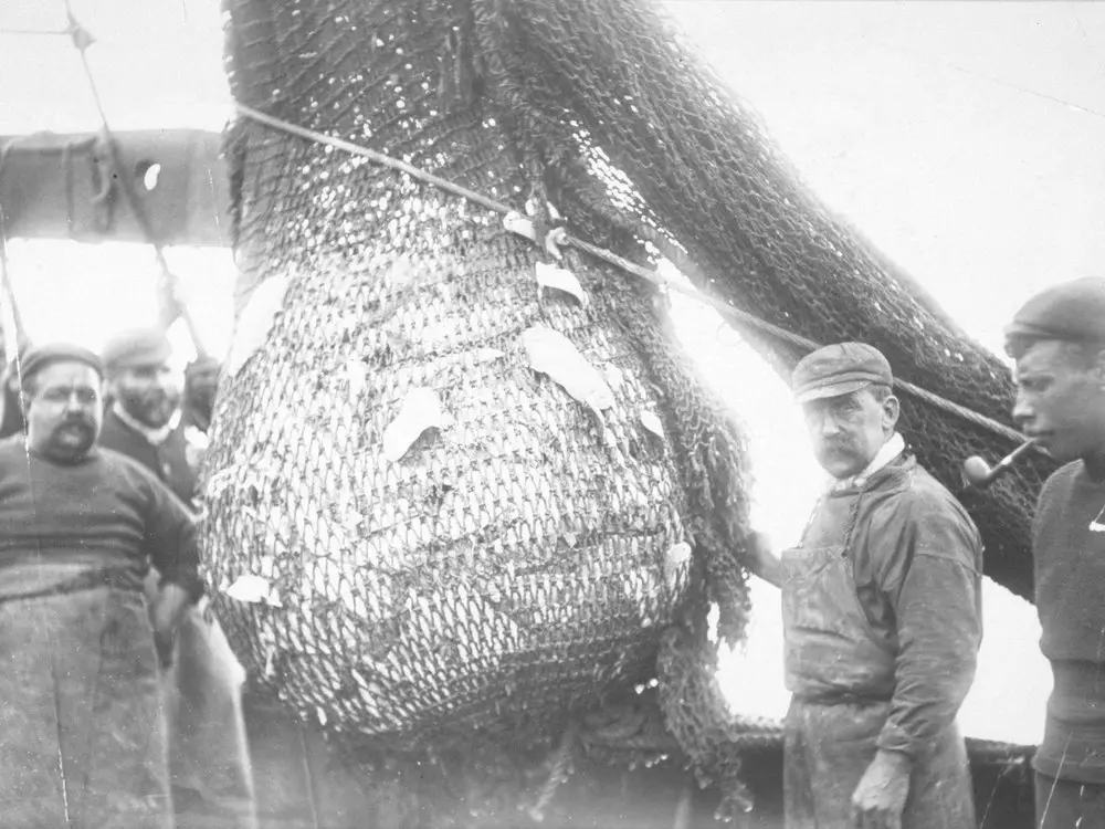 Fiskenet fra 1890'erne