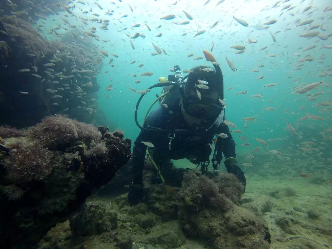 Un subacqueo nuota verso la telecamera, circondato da piccoli pesci gialli e vicino al fondo del mare