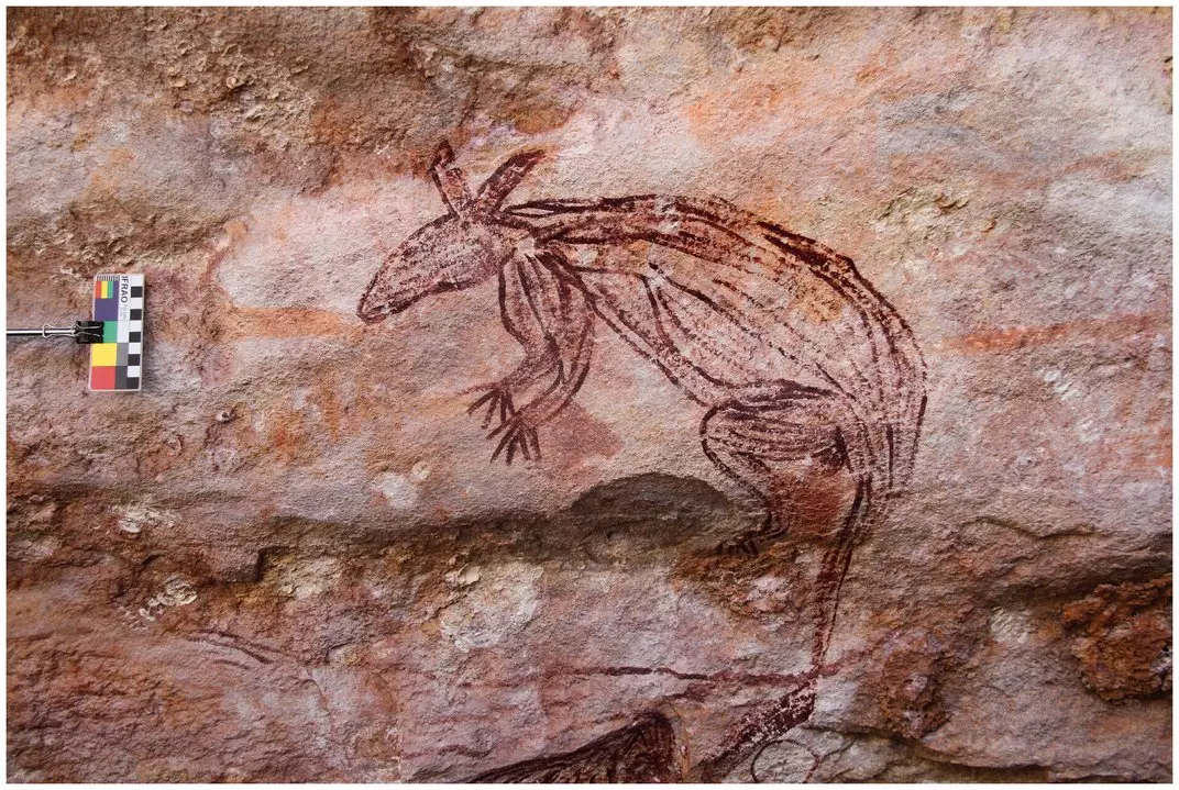 Roko piešimas, vaizduojantis marsupialą