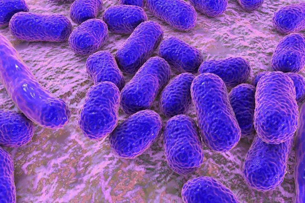 بیکٹیریا کو مارنے کے بجائے، کیا ہم انفیکشن کا سبب بننے کی اس کی صلاحیت کو "آف" کر سکتے ہیں؟