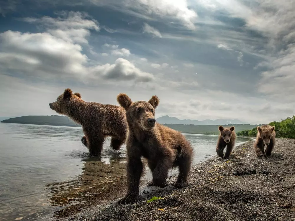 Nhiếp ảnh gia này đi đến tận cùng Trái đất để chụp những loài động vật hiếm được xem