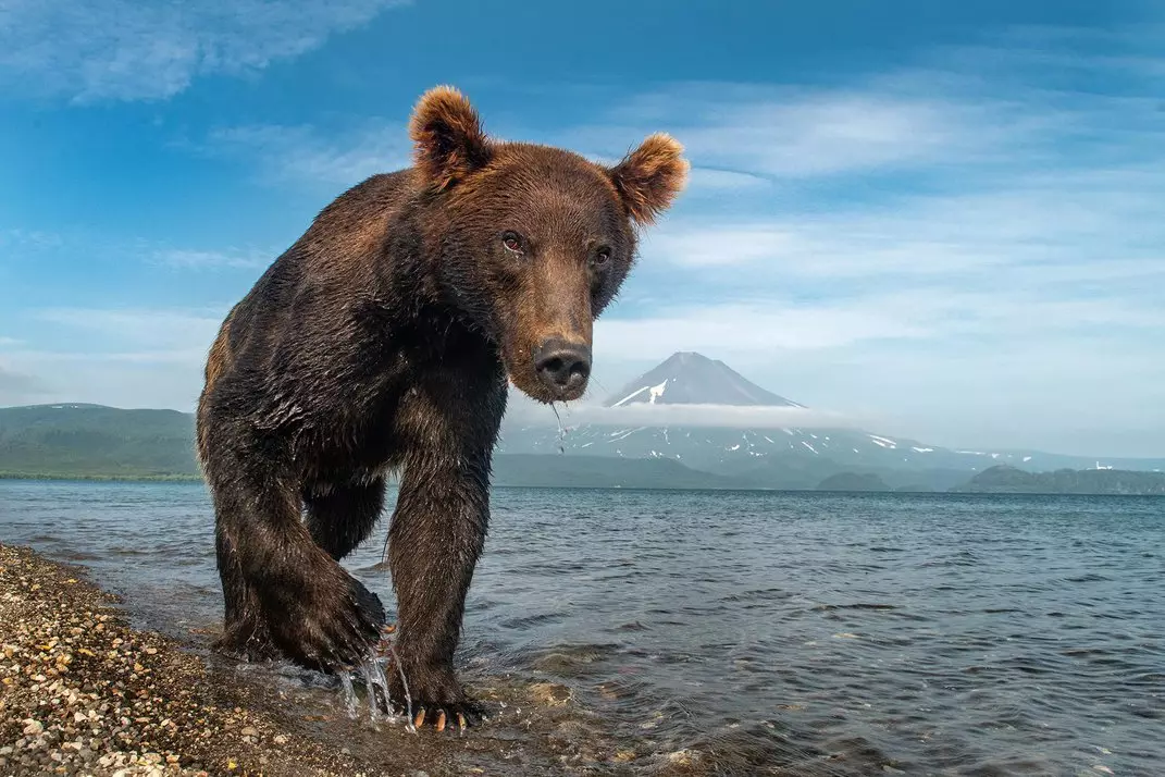 Acest fotograf merge la marginile Pământului pentru a captura animale rar văzute 852_6