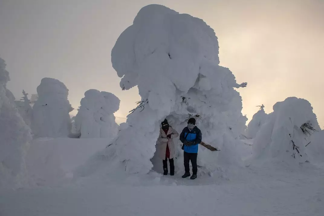 Stromové „snehové príšery“ každú zimu prepadnú severné Japonsko 853_1
