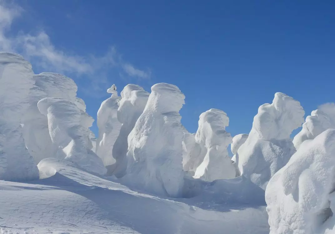 Арбореална 'снежна чудовишта' преплављују северни Јапан сваке зиме 853_3