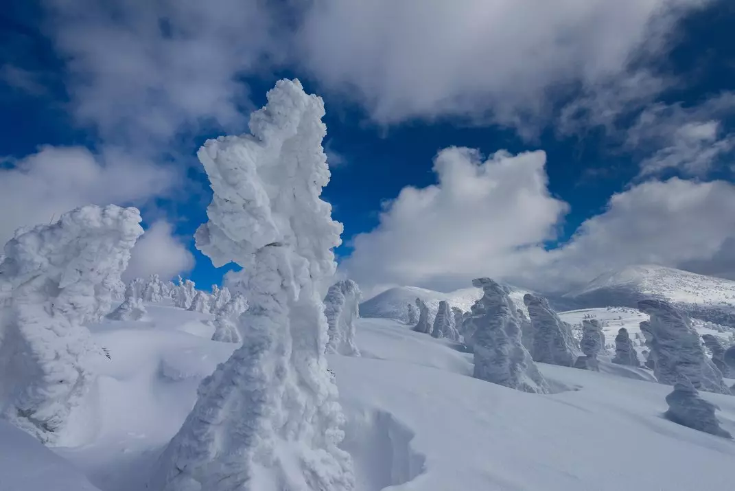 Stromové „sněhové příšery“ zaplavují severní Japonsko každou zimu 853_6