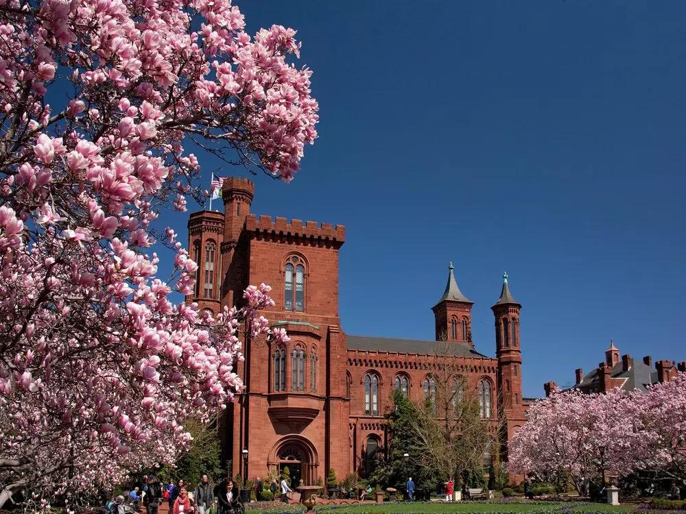 Smithsonian Castle om våren