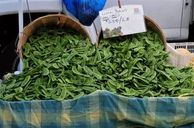 20110520090153fresh-lima-beans-at-market-by-ed-yourdon-400x265.jpg