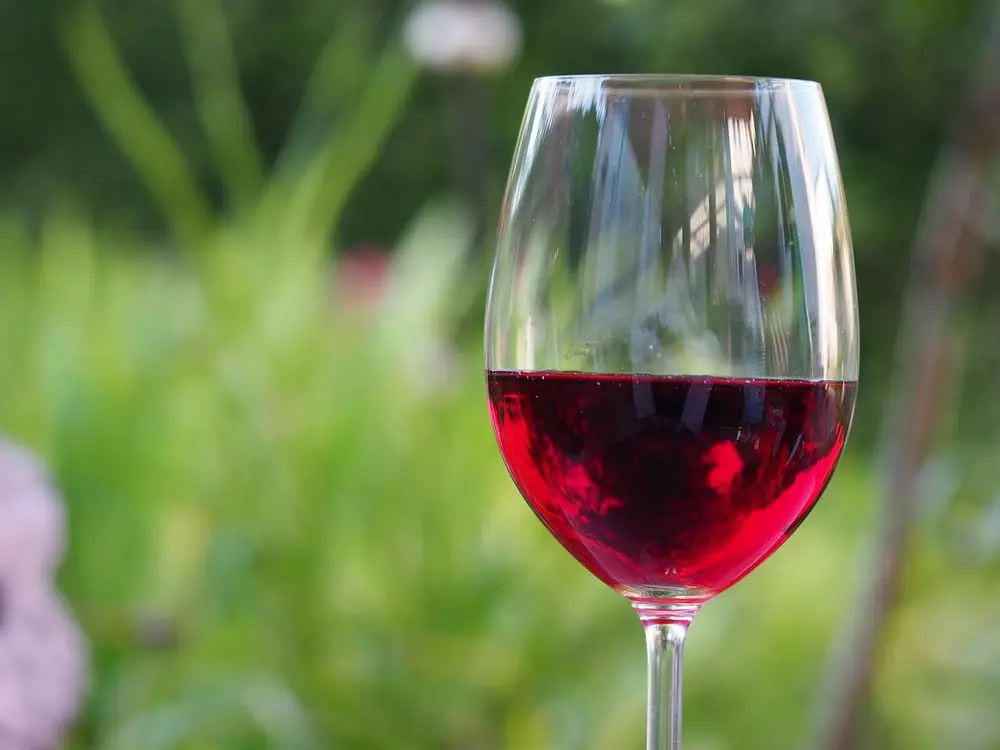 นักวิทยาวิทยาคนหนึ่งช่วยชีวิตไวน์ของฝรั่งเศสได้อย่างไร (เหนือสิ่งอื่นใด)
