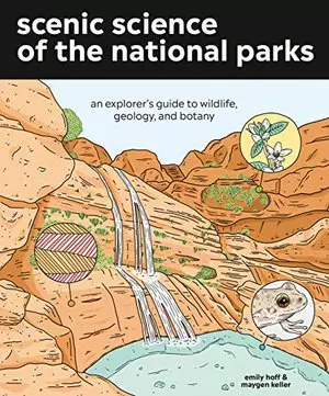 Preview thumbnail for 'Scenic Science of the National Parks: An Explorer's Guide to Wildlife, Geology, and Botany