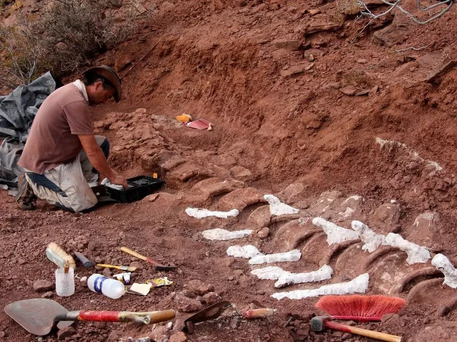 Paleontòleg descobrint un fòssil de 98 milions d'anys