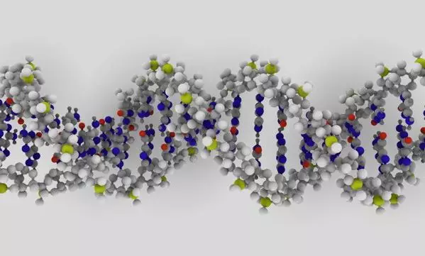 یک مولکول DNA