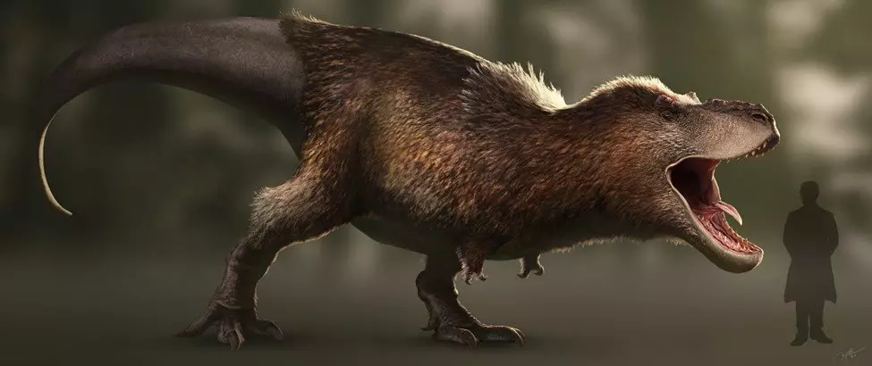 T. rex adulto, orientado cara á dereita e emplumado coa mandíbula caida coma se estivese ruxindo.