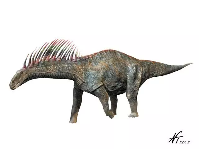 Ibumoso-busa, imvi Amargasaurus inyuma yera.