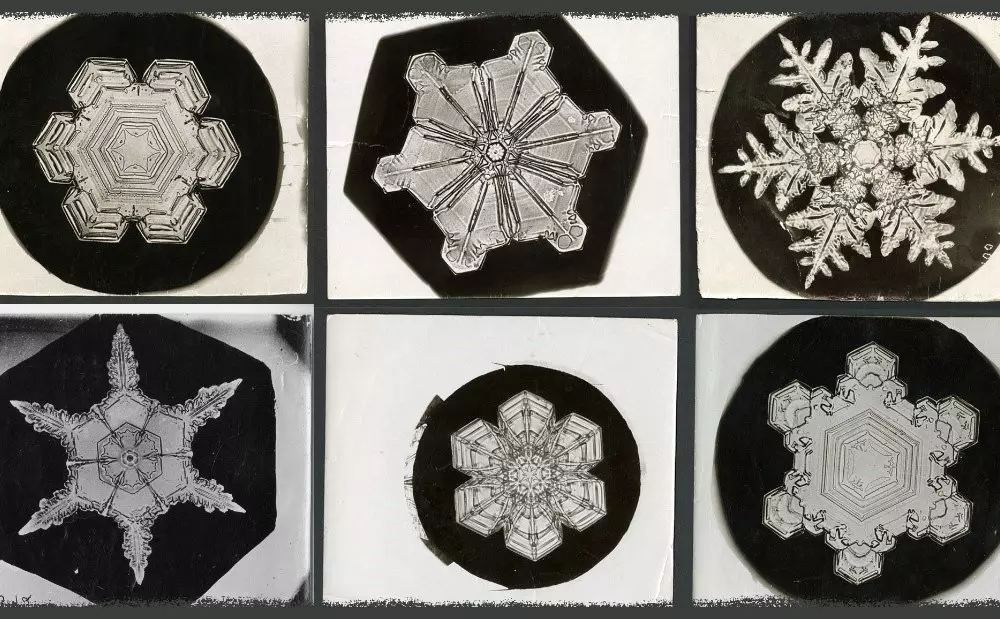 Die oorspronklike foto's van laat 1800's deur die bekende sneeuvlokfotograaf Wilson “Snowflake” Bentley, word in die Smithsonian-argief gestoor. Sy foto's was instrumenteel om wetenskaplikes te help om sneeu se kristallyne eienskappe te ondersoek. (Erin Malsbury, Smithsonian Open Access, Wilson A. Bentley)