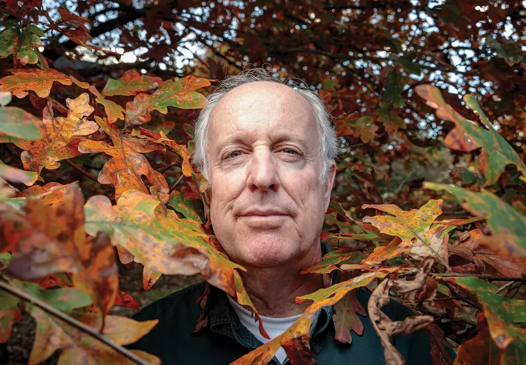 Douglas Tallamy tra le foglie degli alberi