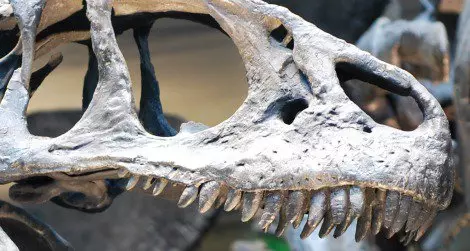 Најстрашније сцене диносауруса у биоскопу