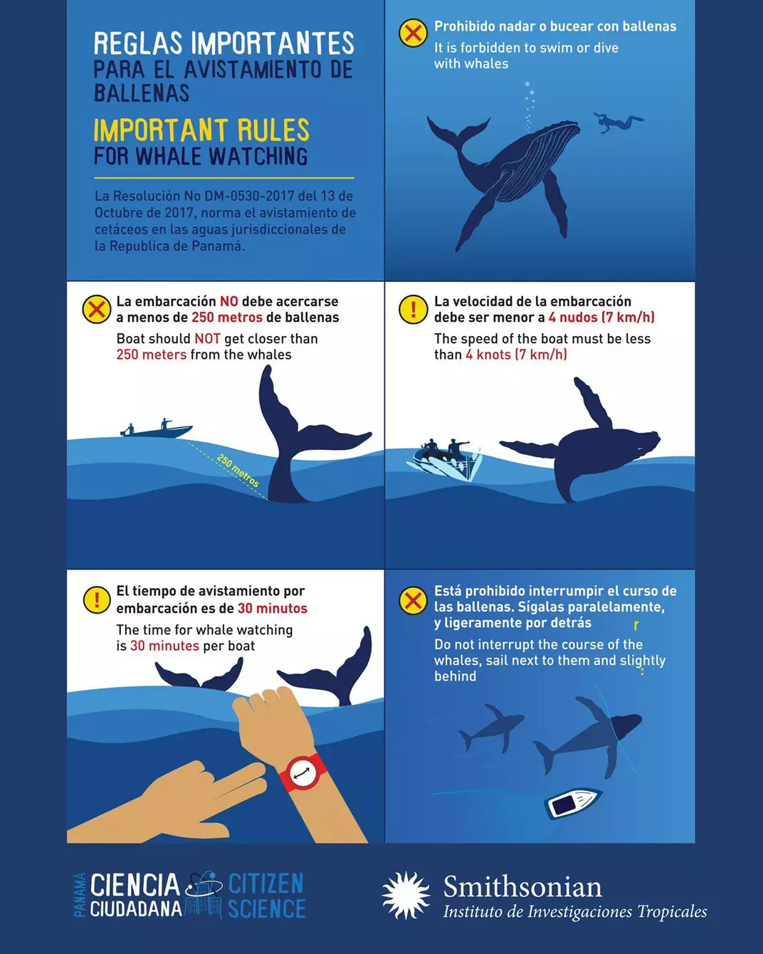 STRI's richtlijnen voor het spotten van walvissen